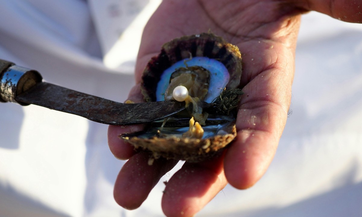 Strength through Suffering – Real Christian Women